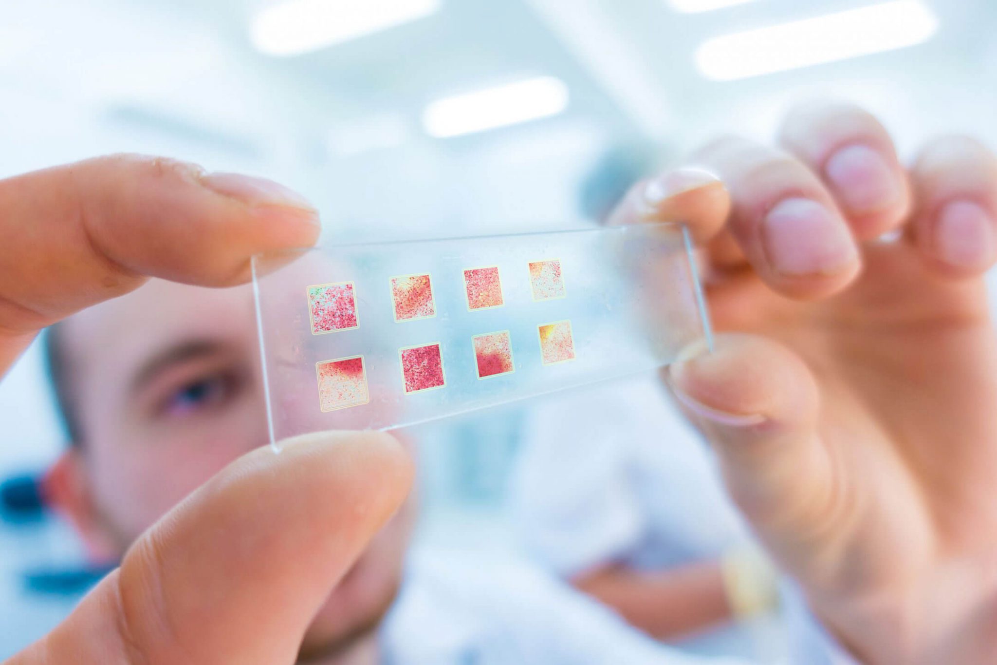 Microplastics Advanced Research and Innovation Initiative (MARII ...